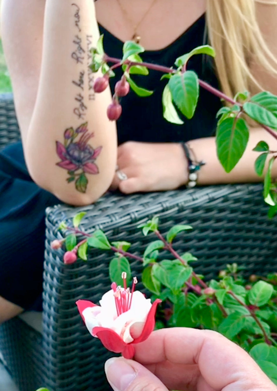 Fuschia Designs Shop - Seeds, Seed Bombs, Seed Packages and gifts