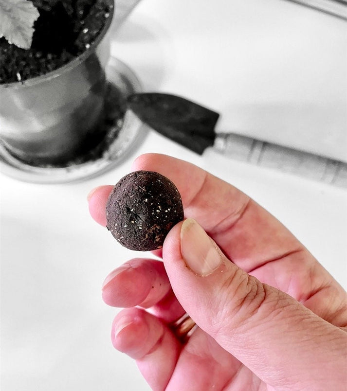 Kit - Seed Bomb - DIY Kits - Create your own Green Oasis - Canadian Wi ...