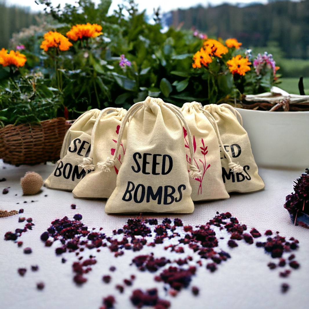 Seed Bombs – Fuschia Designs Shop