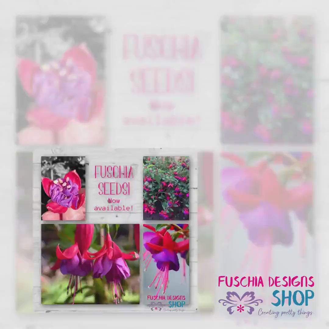 Fuschia Designs Shop - Seeds, Seed Bombs, Seed Packages and gifts